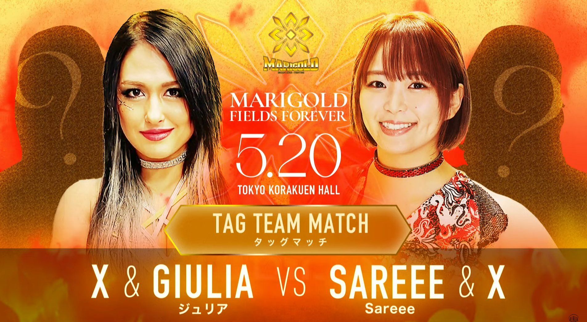 Rossy Ogawa Announces New Wrestling Promotion - DREAM STAR FIGHTING ...